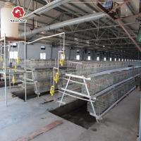 China Galvanized A Type Broiler Pullet Breeder Chicken Cage 3 Tier 180 Birds Capacity for sale