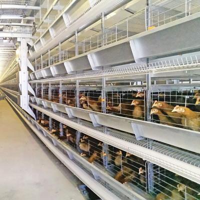 中国 Hのタイプ自動電池の層の鶏は6Tiers養鶏場装置をおりに入れる 販売のため