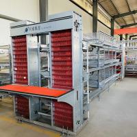 China Fully Automatic H Type Layer Chicken Cage for Laying Hens 2mm Thickness 275g Zinc Coating for sale