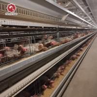 Cina Le gabbie per polli di carne di medie dimensioni e resistenti garantiscono una gestione efficiente dei pulcini di piccole dimensioni. in vendita