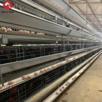 China Galvanized Battery Cage System For Egg-laying Hens for sale