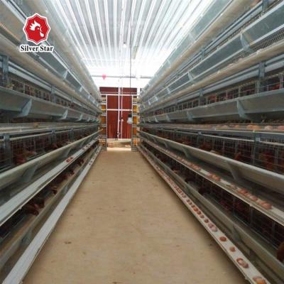 China Un tipo 4 de niveles / pisos 128, 160 aves por juego de aves de corral de la capa de jaula para poner huevos for sale