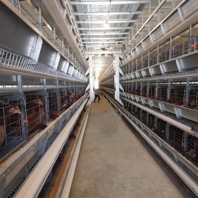 China Uganda Poultry Layer Farm Chicken Cage Automatic Drinker H Type for sale