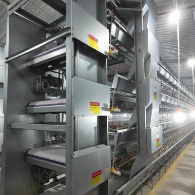 China Fully Automatic Egg Layer Chicken Cages H Type 50000 Chickens Poultry Farm 10 Tiers for sale