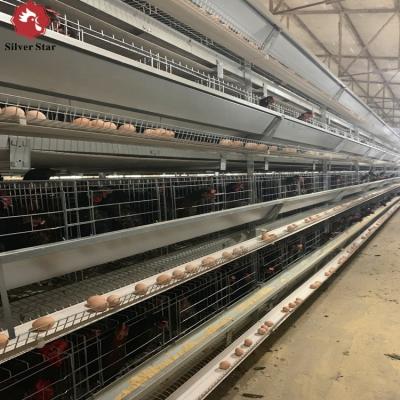 China Aves domésticas automáticas das galinhas poedeiras da exploração agrícola das gaiolas de bateria da galinha da camada do ovo à venda