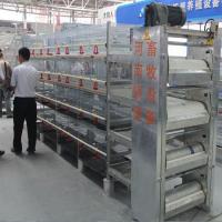China Durable Chicks Brooder Cage Multi Tiers H Type Small Fully Automatic for sale