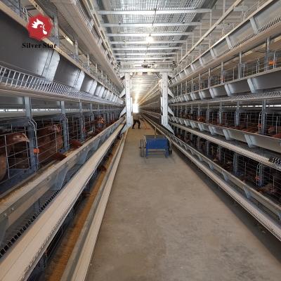 China H-raam Batterijtype fokkooien Moderne laag landbouwapparatuur Te koop