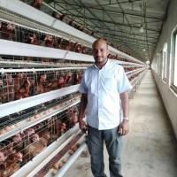 China 10000 Layers Battery Chicken Cage Automatic Drinking System 3 Tiers 120 Birds for sale