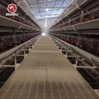 China Poultry Farm Hens Layer Battery Chicken Cage H Type With Automatic Egg Collection for sale