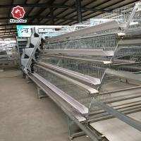 China Hot Galvanized H Type Automatic Chicken Brooder Layer Cage 3-8 Tiers 60-384 Birds for sale