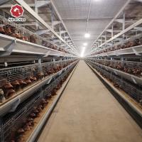 China Het automatische van het de Kippenlandbouwbedrijf van de Eilaag van de de Kippenkooi Type van het Gevogeltemateriaal H van de V.A.E Te koop