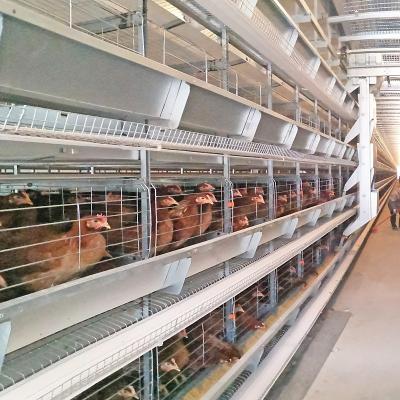 China H Type Poultry Battery Cages Automatic Egg Layer Chicken Farm Laying Hens for sale