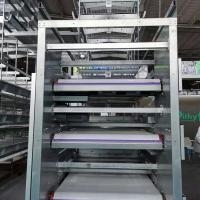 China H Type Poultry Battery Cage Automatic Egg Layer Chicken Farm 3-8 Tiers Hot Dipped Galvanized for sale