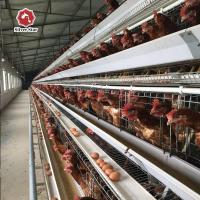 China 1250 Type Layer Cage 4 Tiers 72 Chickens Galvanized Steel Poultry Farming Equipment for sale