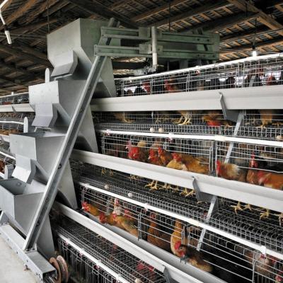 China Hot Dip Galvanized Egg Layer Chicken Cage A Type Battery 96 Birds 128 Birds Poultry Farm for sale