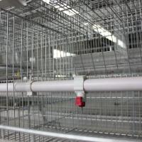 China Automatic Broiler Chicken Cage 3-9 Floor High Density Farm Battery System for sale