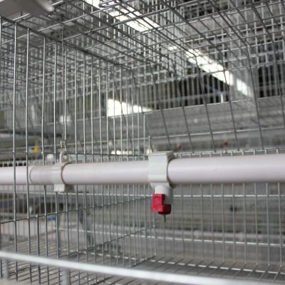 Китай Горячая оцинкованная автоматическая бройлер 3 Tier 4 Tier H Type Battery Птичная куриная клетка продается