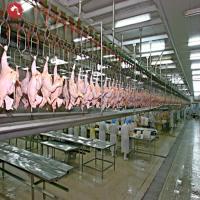 China Automatic Halal Poultry Chicken Slaughtering Processing Machine 300-1000BPH 380V for sale