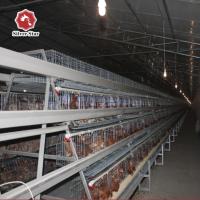 China A Type Full Automatic Layer Chicken Cage 4 Layers / Cell for sale