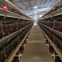 China H Type Layer Chicken Cage 30000 Birds Automatic Poultry Farming Equipment Hot Dipped Galvanized 65x62.5x50cm for sale
