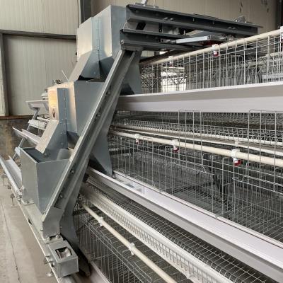 China Volledig automatische batterij kippenkooi warm gedompelde gegalvaniseerde draad 3-4 lagen Te koop