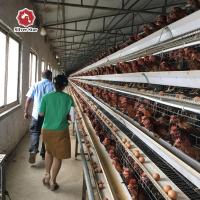 China 10000 Layers Battery Chicken Cage Automatic Drinking System 3 Tiers 120 Birds for sale
