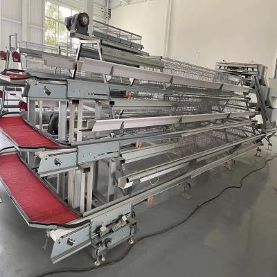 China Una jaula tipo batería para gallinas ponedoras de 3 niveles 120 de capacidad para aves de corral en Dubái for sale