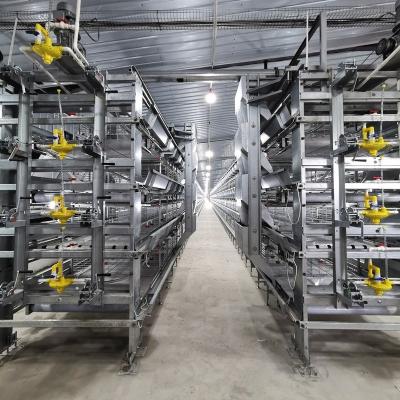 China 자동 배설물 제거 시스템과 함께 감광 자동 계층 케이지 계란 닭 닭 가축 농장 for sale