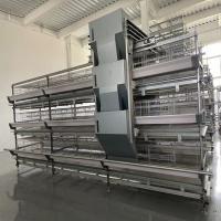 China H-Type Fully Automatic Layer Cage 1800x600x430mm 3-8 Tiers for Modern Poultry Farm for sale