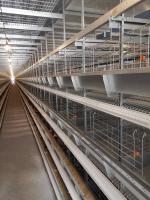 China H Type Automatic Egg Layer Chicken Cage Hot Dip Galvanized 3 to 8 Tiers 84 to 224 Birds for sale