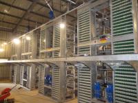 China Hot Galvanized H Type Automatic Chicken Brooder Layer Cage 3-8 Tiers 60-384 Birds for sale