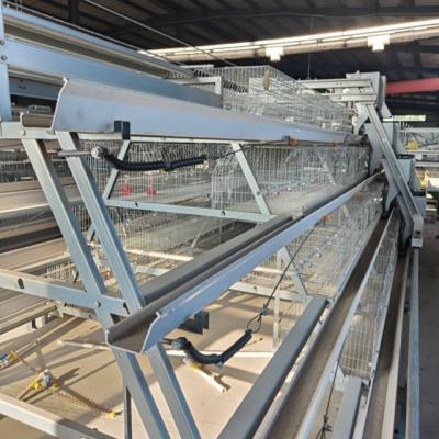China 15-20 년 수명 기간 가축 양식용 Q235 브리지 스틸로 만든 닭고기 케이지 for sale