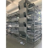 China H-Type Automatic Layer Battery Cage System | Henan Silver Star for sale