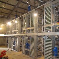 China High-Efficiency H-Type Commercial Layer Chicken Cages with Automatic Climate Control for sale