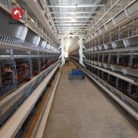 China H-Type Automatic Layer Battery Cage System | Henan Silver Star for sale