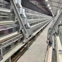China Hot Galvanized Automatic Layer Cage A Type H Type Chicken Cage System 1950mm Length 2300mm Width for sale