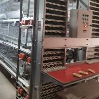 China High-Efficiency H-Type Commercial Layer Chicken Cages with Automatic Climate Control for sale