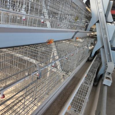 China 2024 Q235 A-Type Automatic Chicken Coops Layer Battery Cage System For Capacity Poultry Farms for sale