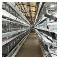 China Hot Galvanized Automatic Layer Cage A Type H Type Chicken Cage System 1950mm Length 2300mm Width for sale