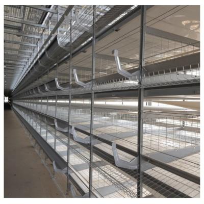 China 2024 H Type 4-tier Hot Dip Galvanized Automatic Layer Chicken Cage In Poultry Equipment for sale