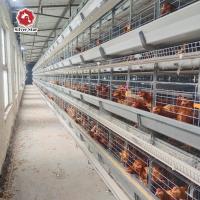 China H-Type Fully Automatic Layer Cage 1800x600x430mm 3-8 Tiers for Modern Poultry Farm for sale