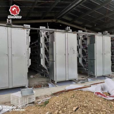 China 4-Tier Fully Automated Layer Housing System with Galvanized Frame & Auto Collection for sale