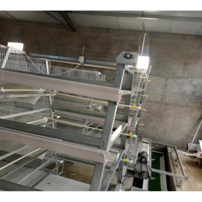 China A Type H Type Automatic chicken egg  cage laying hens cage poultry farm equipment for sale