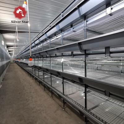 China Commercial-Scale Automatic H-Type Battery Cage System with Full Automation and Hot-Dip Galvanized Steel for 50,000+ Birds for sale