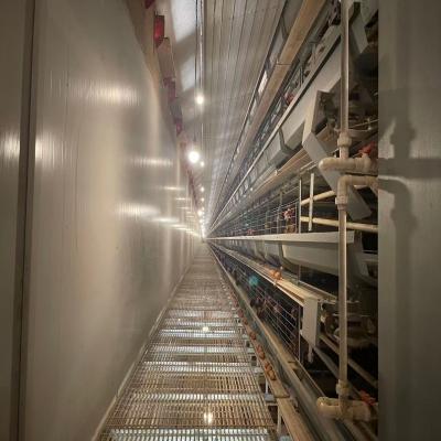 China Battery Chicken Cages Corrosion Resistant Long Lasting Poultry Equipment Suitable For Large Farms for sale