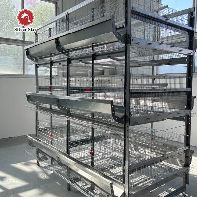 China H Type Layer Chicken Cage System Battery Cage For Egg Production With 72-108 Birds Capacity And Fully Automatic Environmental Control System for sale