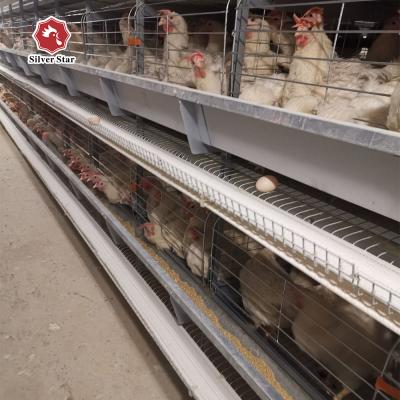 China Automated H Frame Egg Production Cage Industrial Anti-corrosion Durable Material Long Service Life Poultry Farming Equipment for sale