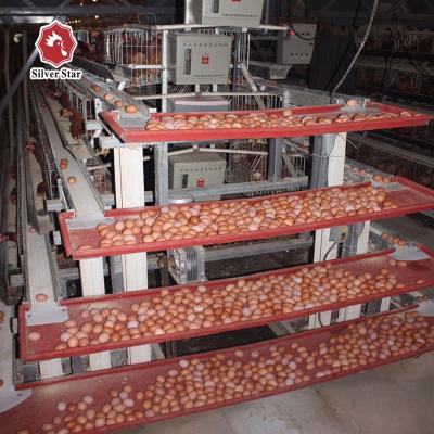 China 3-4 Tiers Battery Layer Chicken Cage For Laying Hens Farm ISO9001 Listed for sale