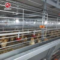 China Customized Multi Layer Poultry Cage Automatic Egg Collection Cages 3 Tiers 126 Chickens for sale