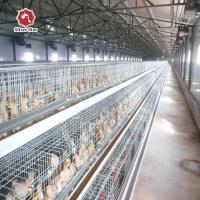 China Customized Multi Layer Poultry Cage Automatic Egg Collection Cages 3 Tiers 126 Chickens for sale